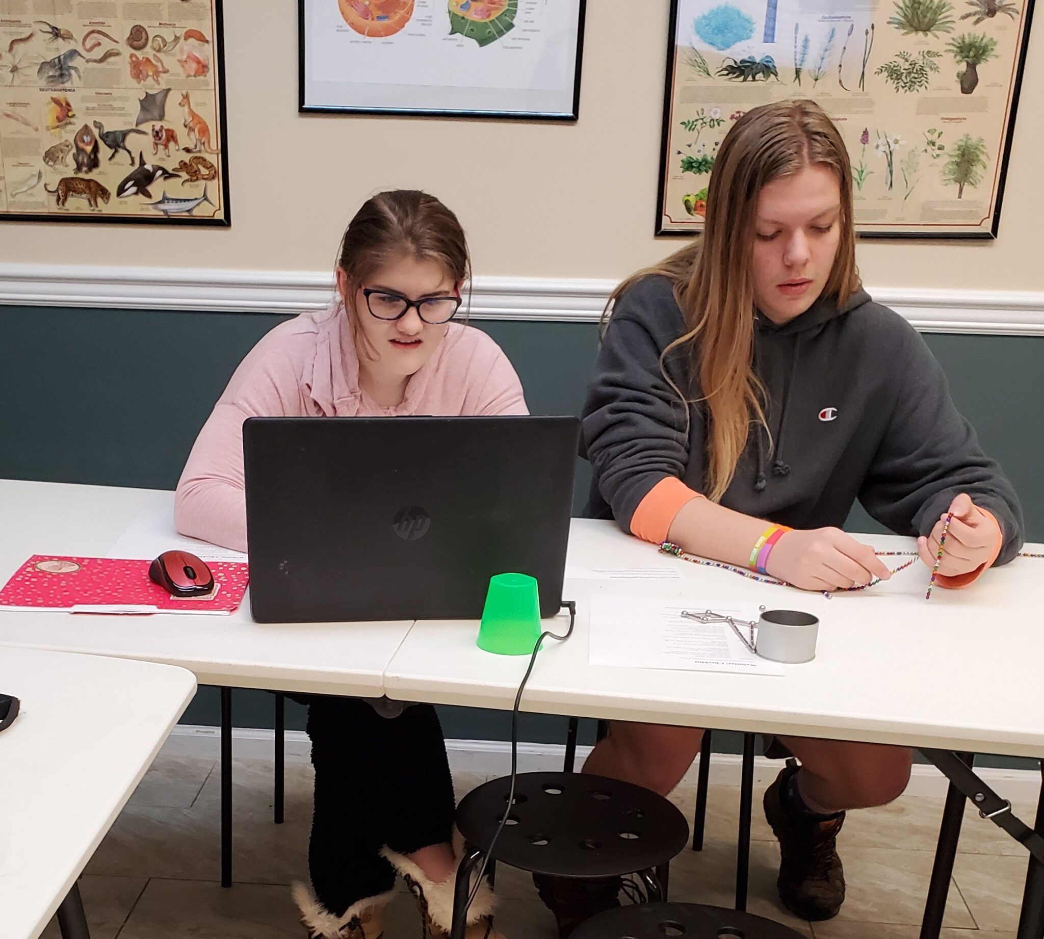 Middle/High School STEM Wednesdays 11:30am - NorthJerseyHomeschoolScience